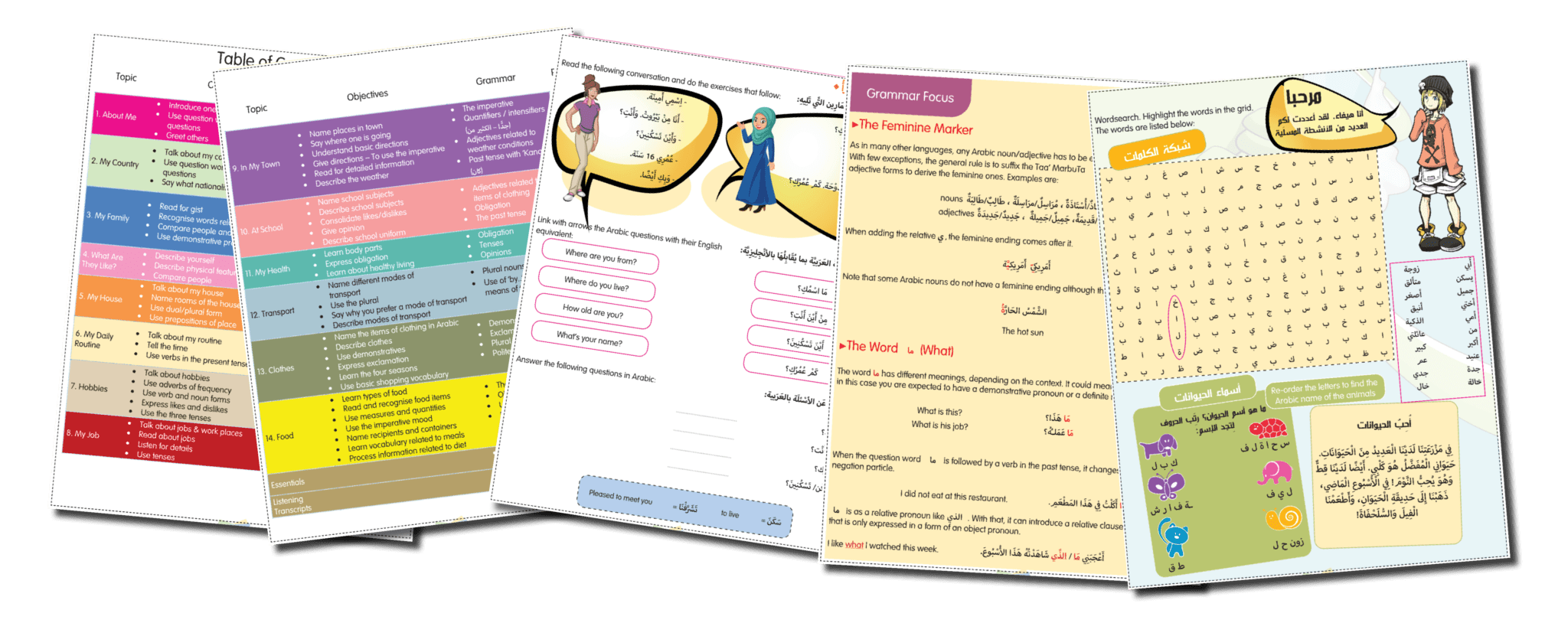 The Pre GCSE Arabic Companion | The Arabic Companion